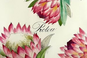 3 Protea White Starter Kit - Fabric Painting - Magic Moments
