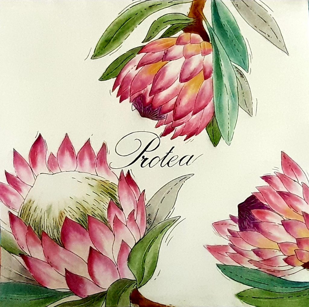 3 Proteas Design : 45cm x45cm – Fabric Painting – Magic Moments